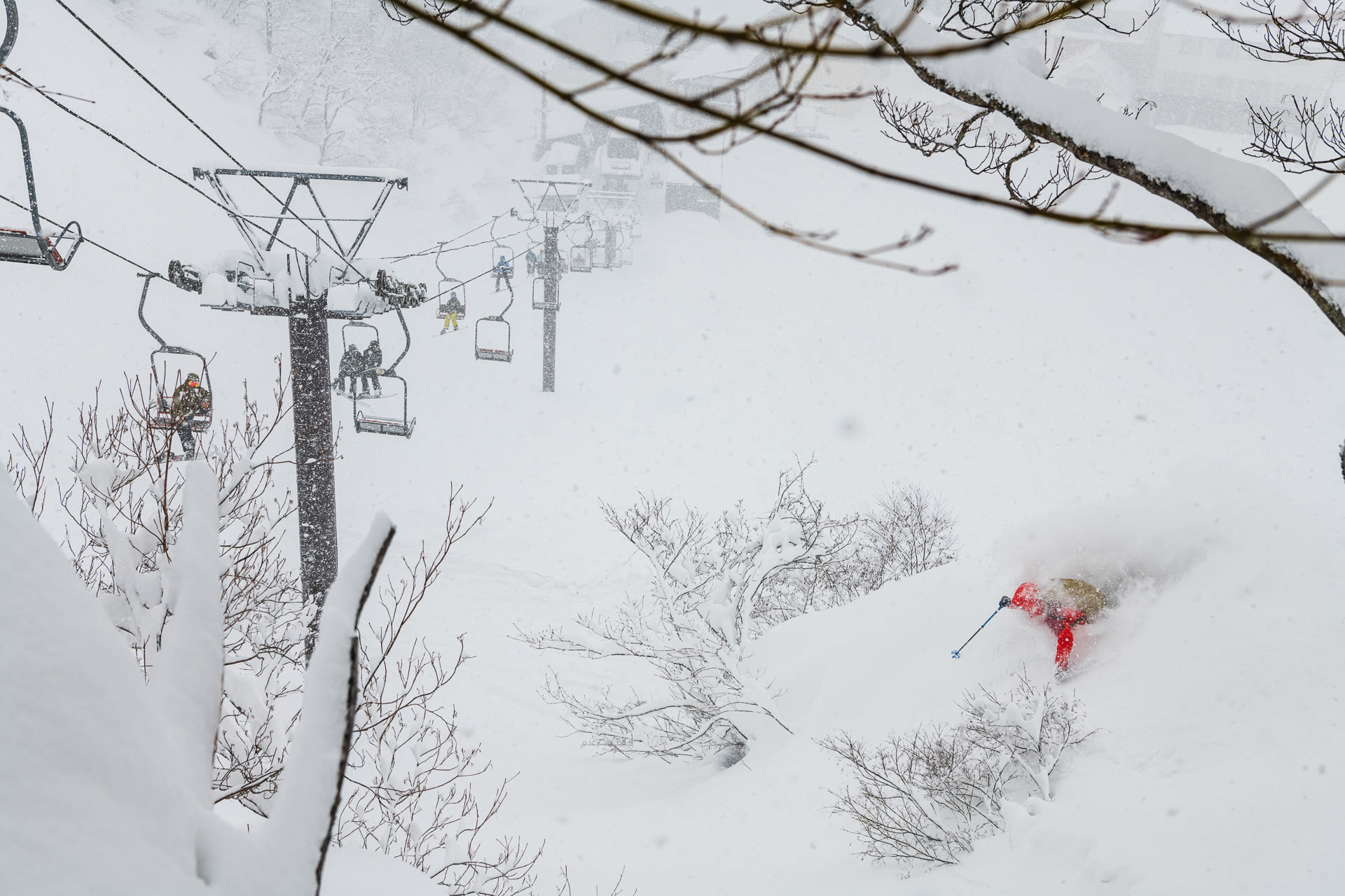 Skiing in Japan: The Ultimate Guide - Powder