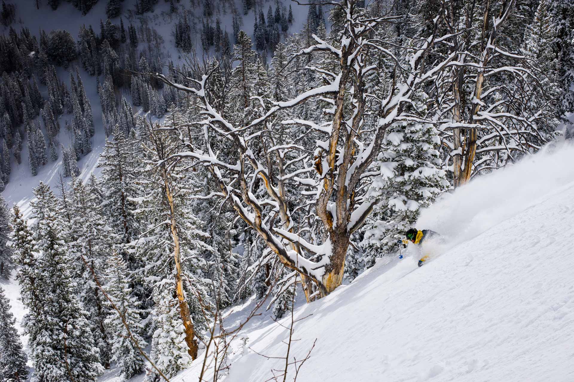 The 8 Best Places to Ski in February - Powder