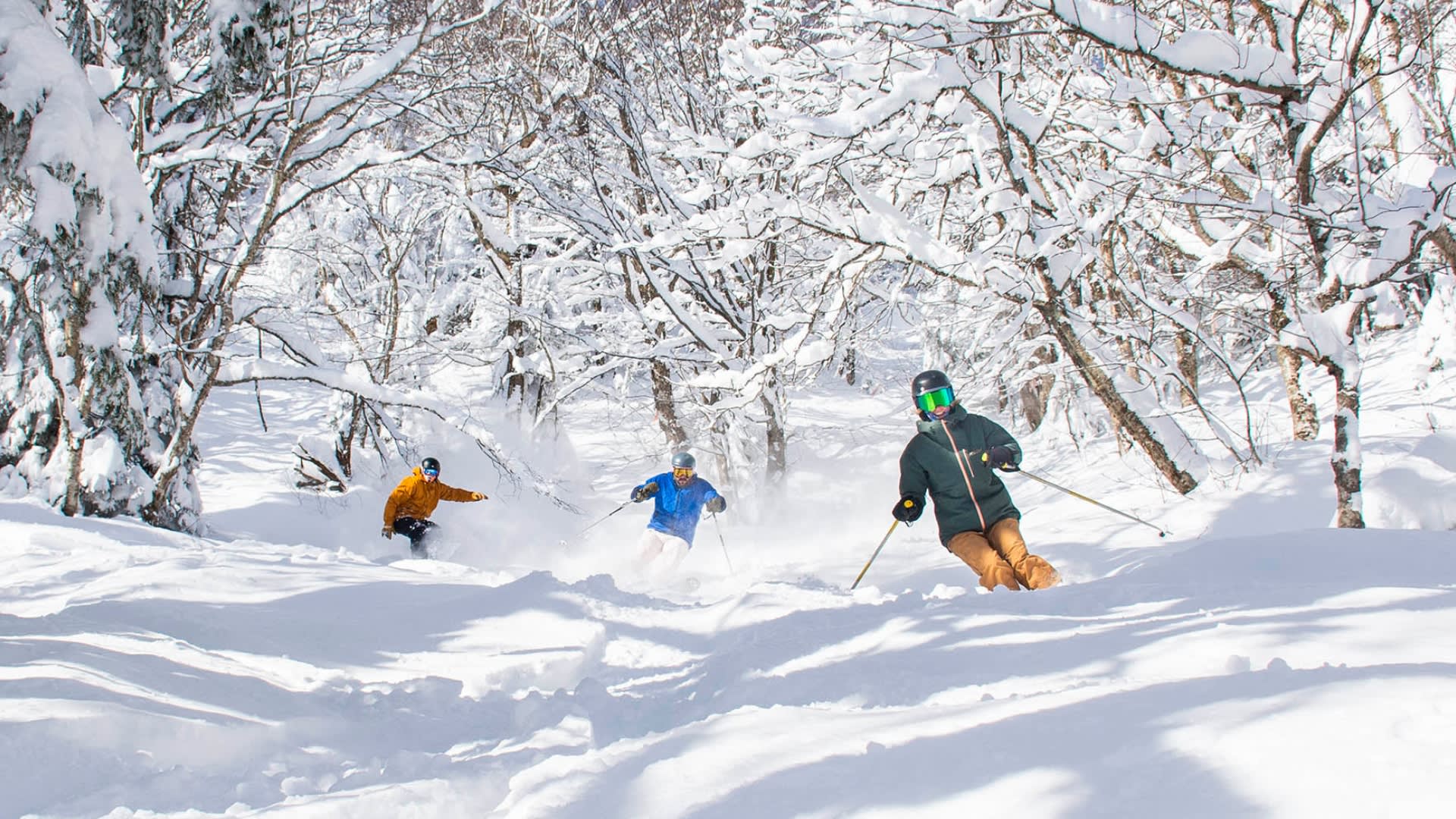 The 20 Snowiest Ski Resorts in the United States - Powder