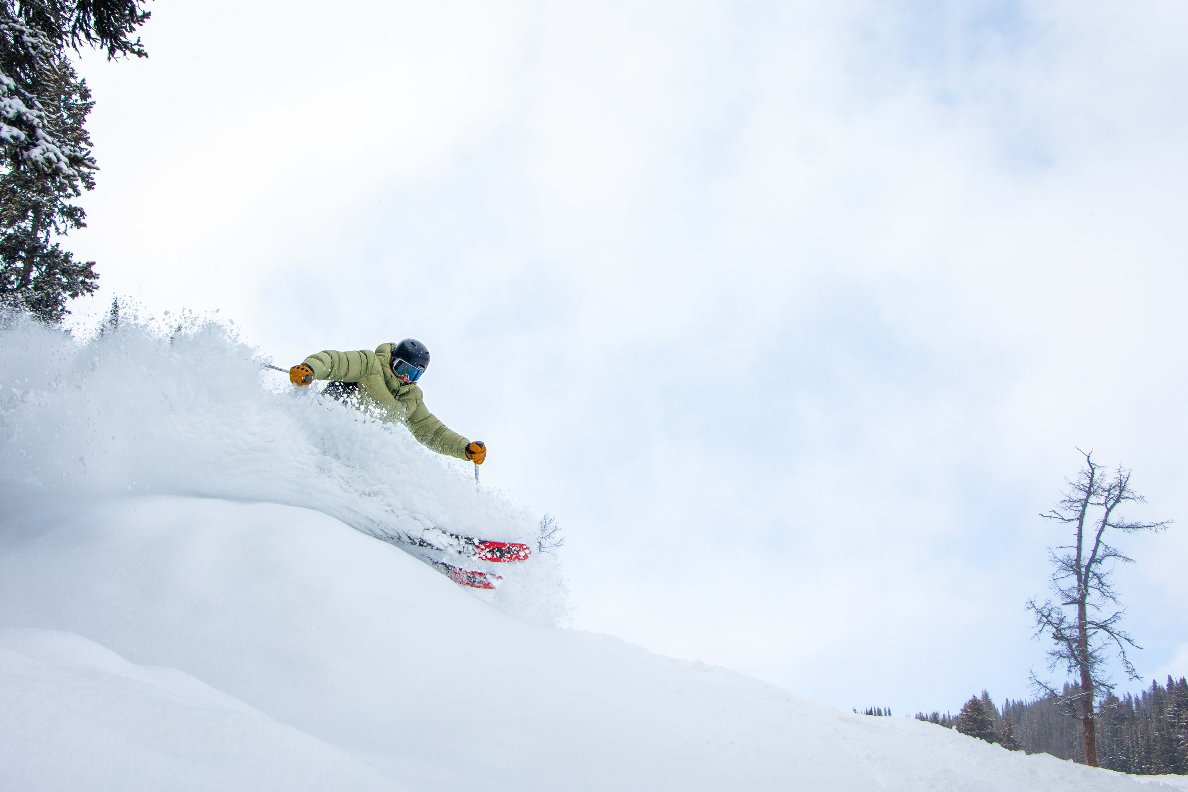 Best Powder Skis of 2025 - Powder