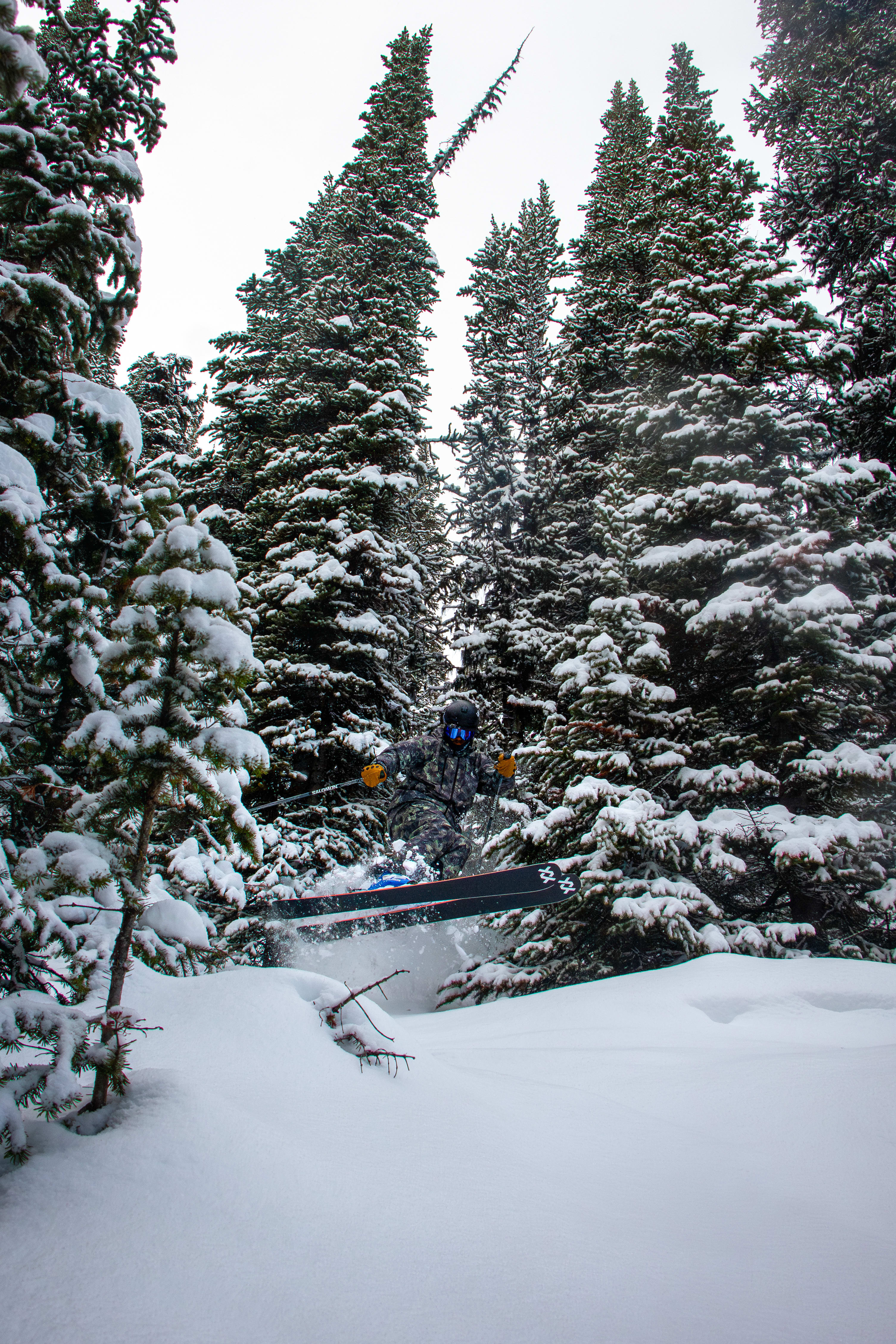 Review: Völkl Blaze 104 - Powder