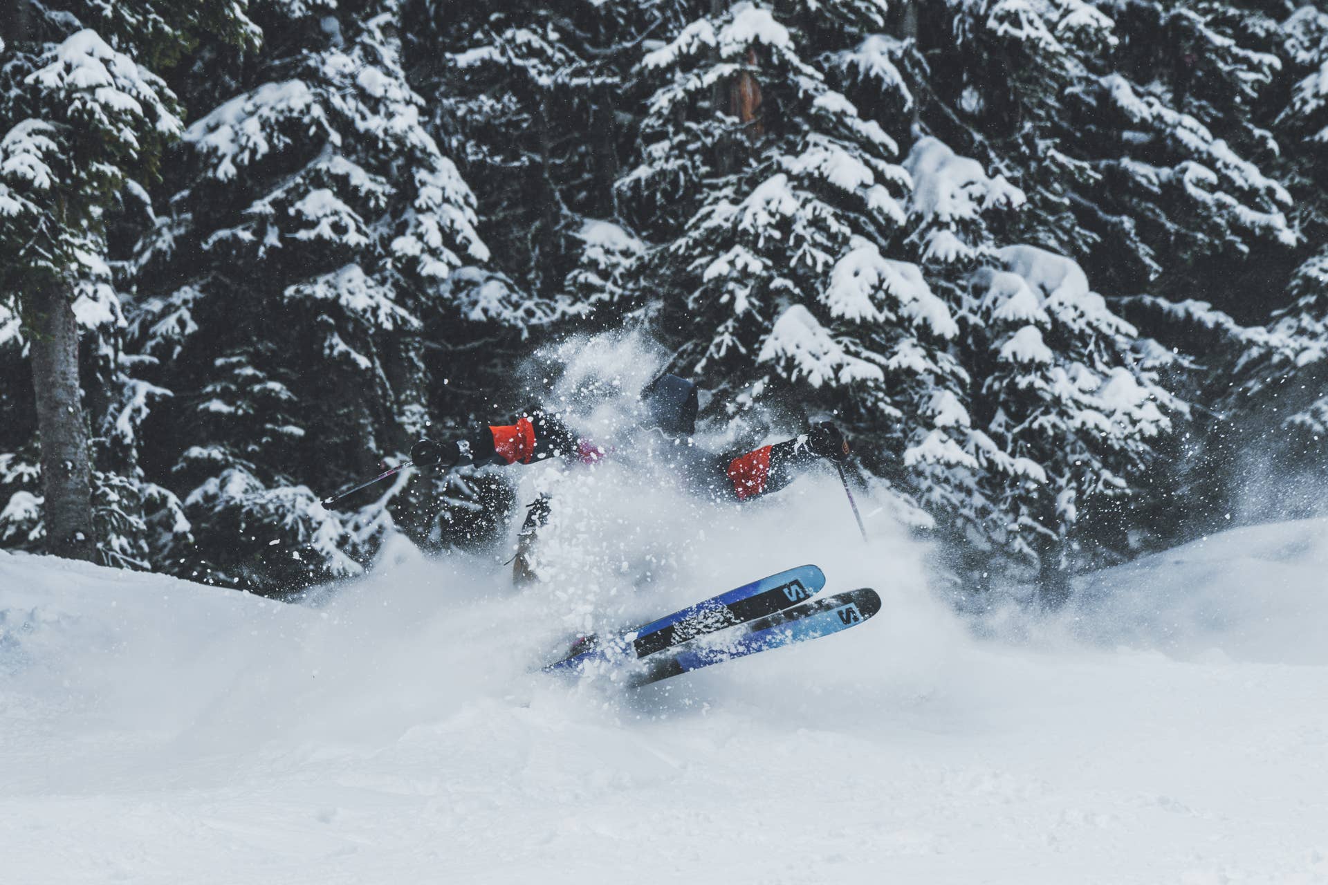 Review: Salomon QST Echo 106 - Powder