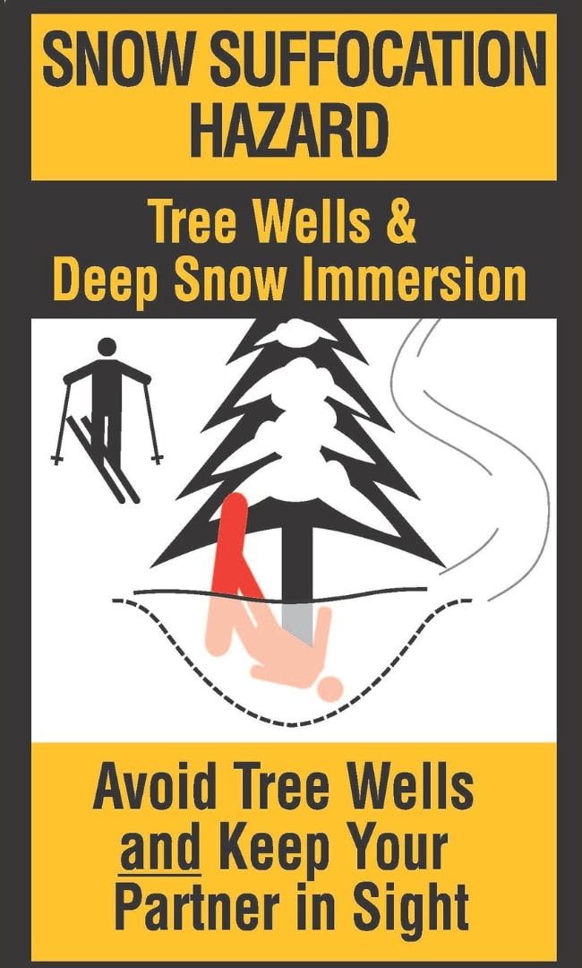 La Niña Skiing Safety: The Tree Well Risk Explained - Powder