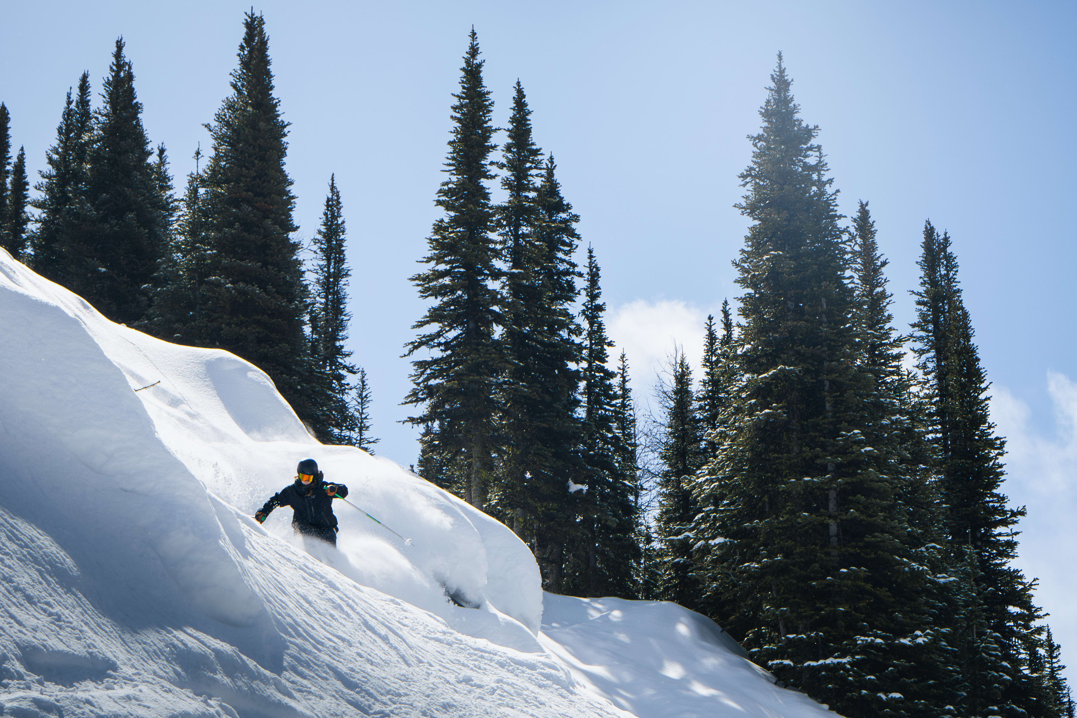 Elan Ripstick 102 Review: The Best One-Ski Quiver Option? - Powder