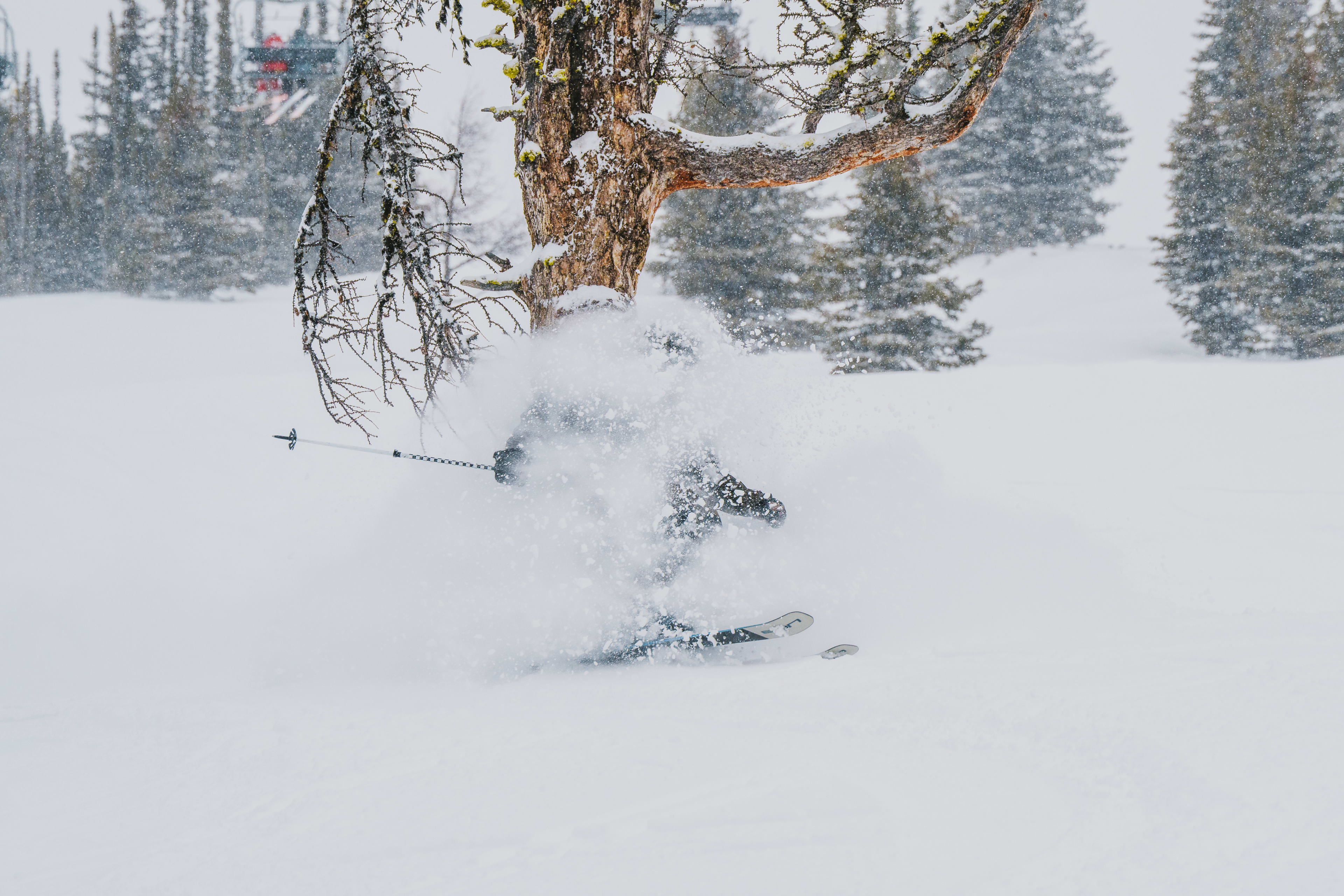 Elan Ripstick 102 Review: The Best One-Ski Quiver Option? - Powder