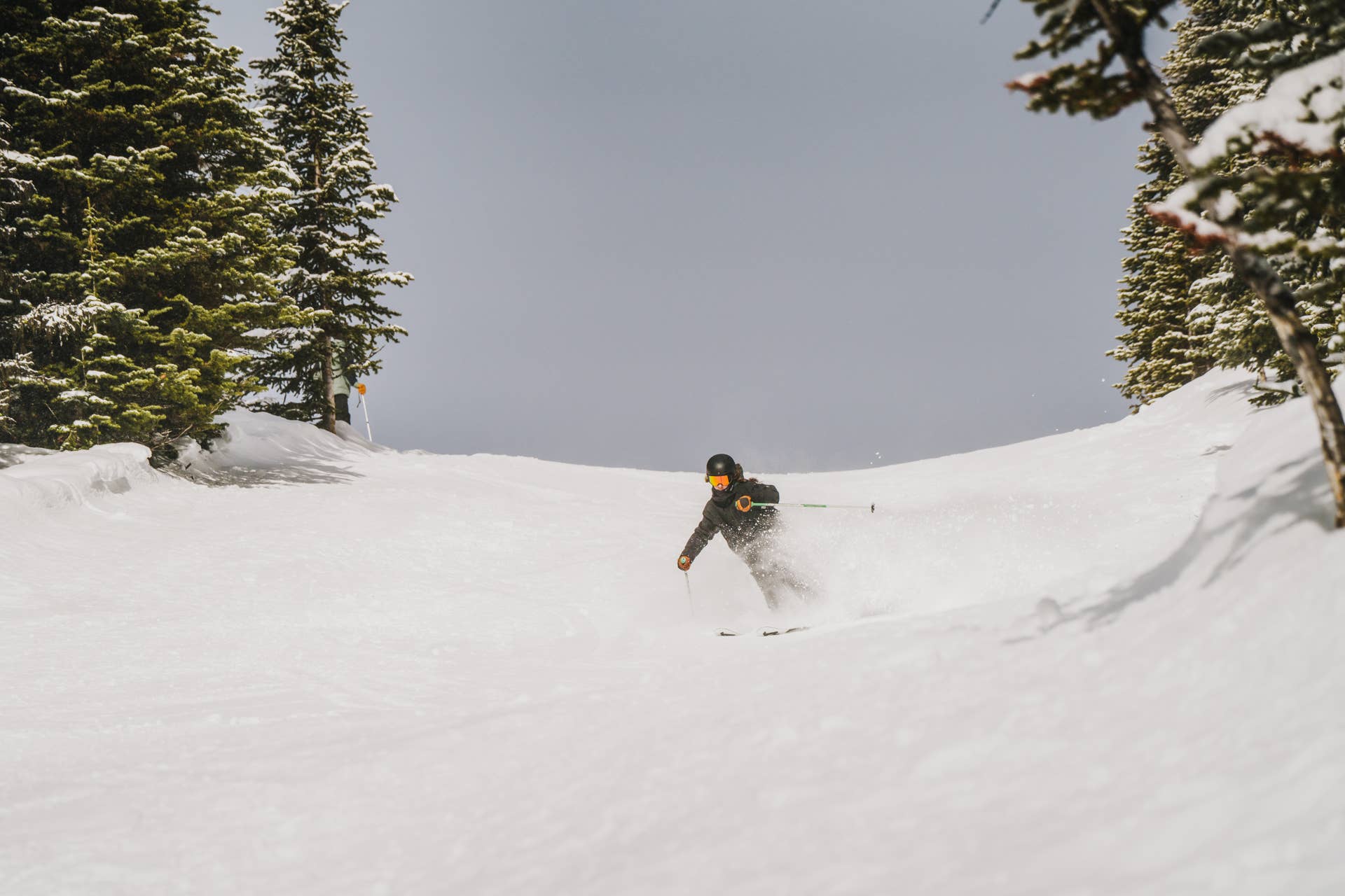 Review: Nordica Santa Ana 102 Skis - Powder