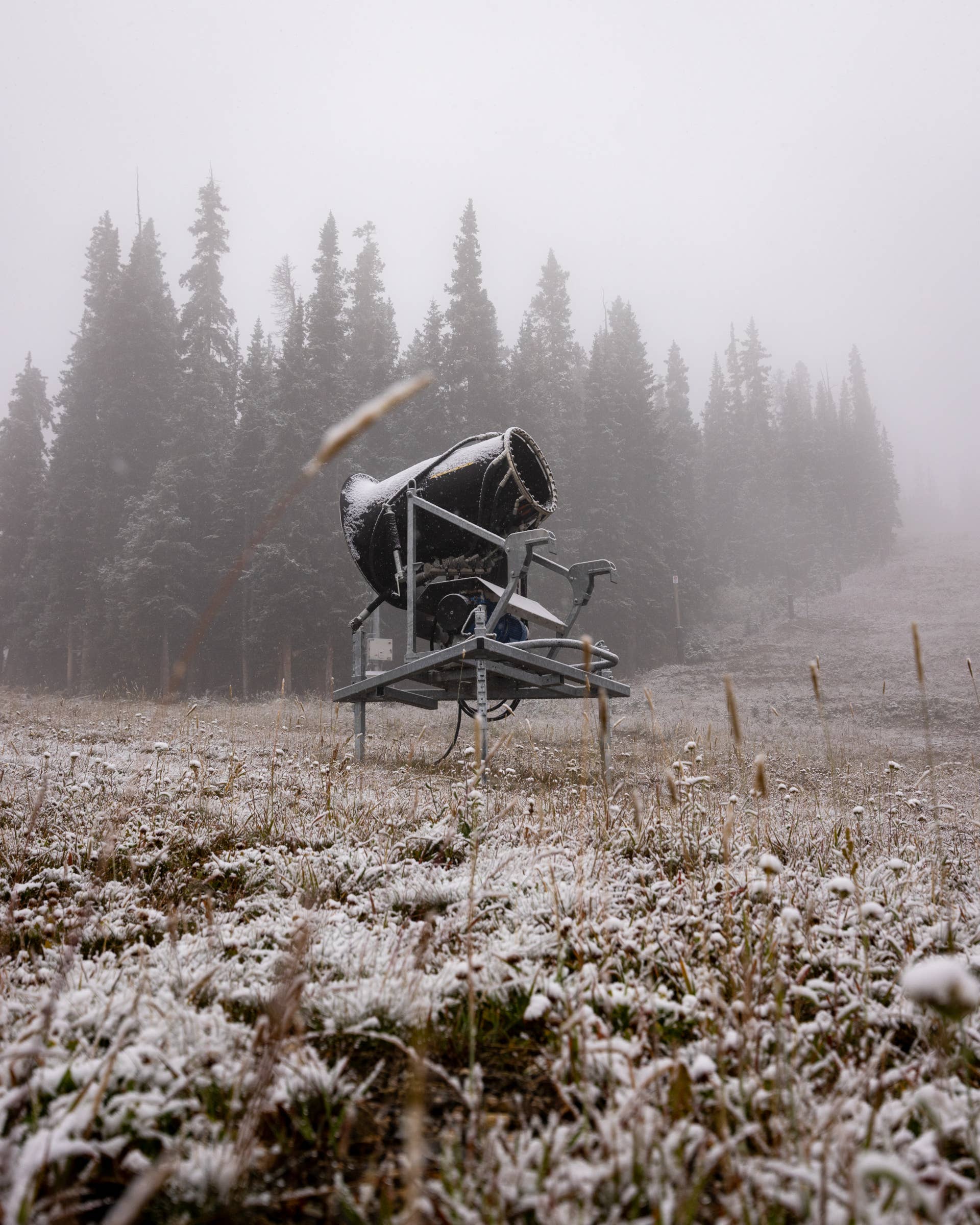 Colorado's High Country Gets First "Real" Storm of 2025 - Powder