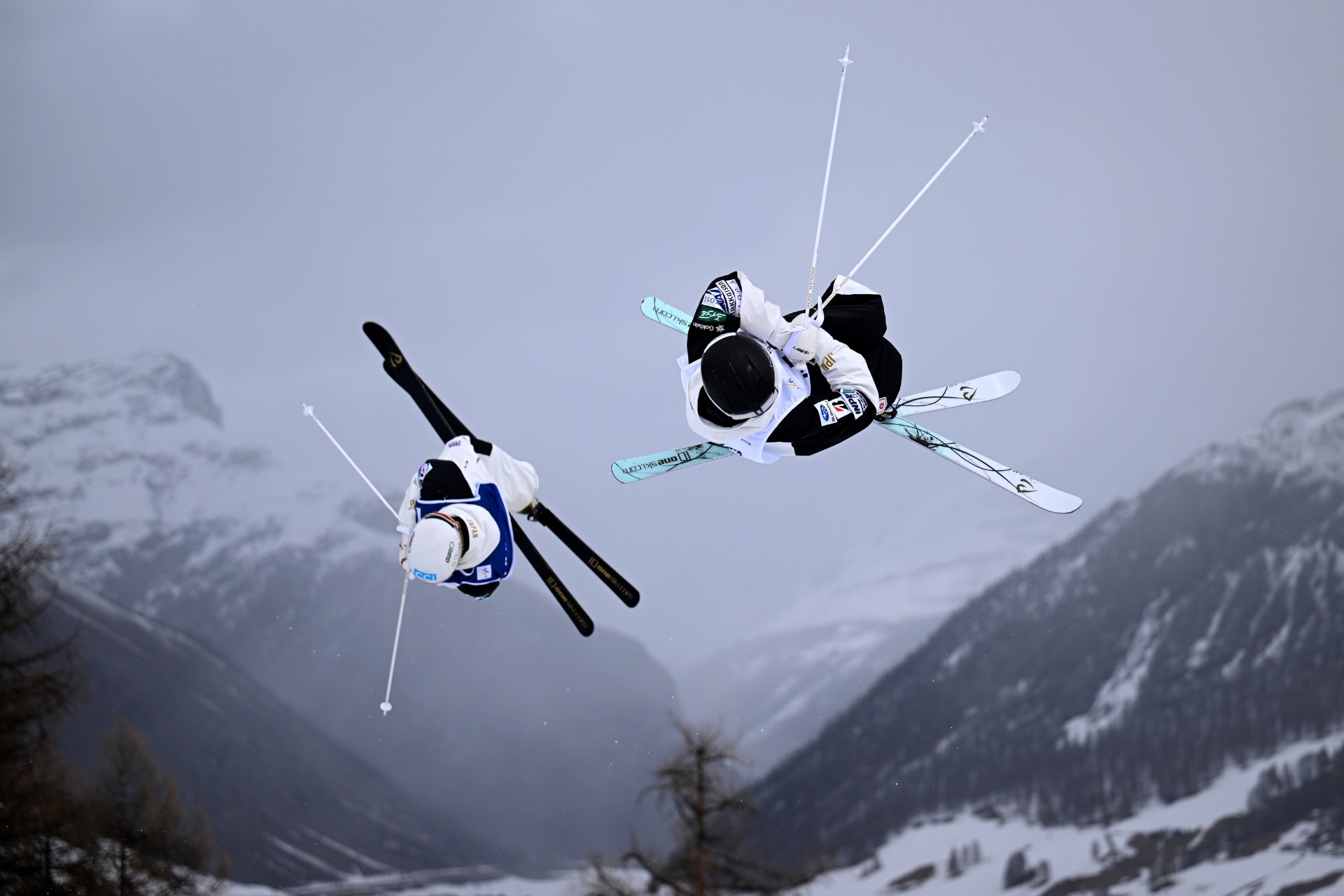 Learn About Dual Moguls, The Olympics' Newest Ski Event - Powder