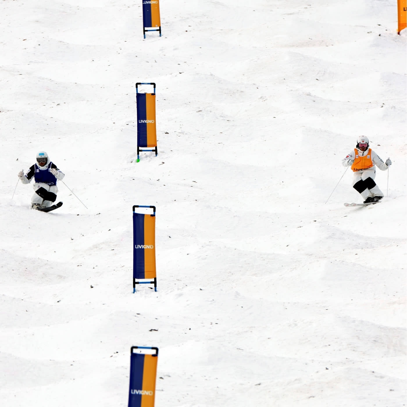 Learn About Dual Moguls, The Olympics' Newest Ski Event - Powder