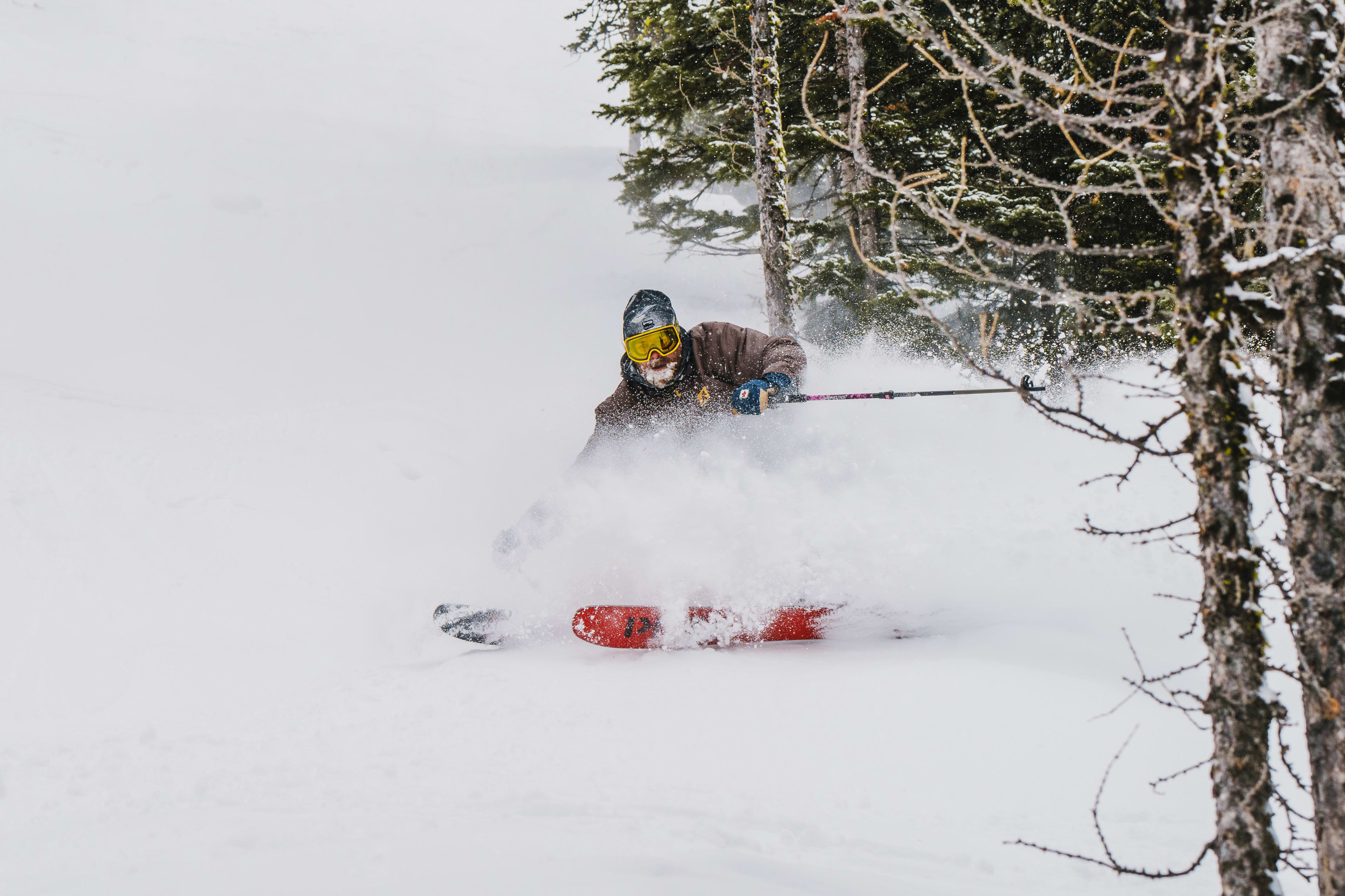 Review: Völkl Revolt 114 - Powder