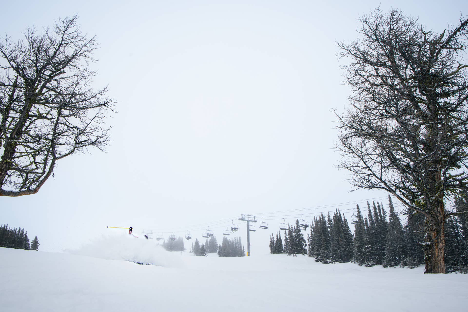 Review: 2026 RMU Professor 111 Powder Skis - Powder