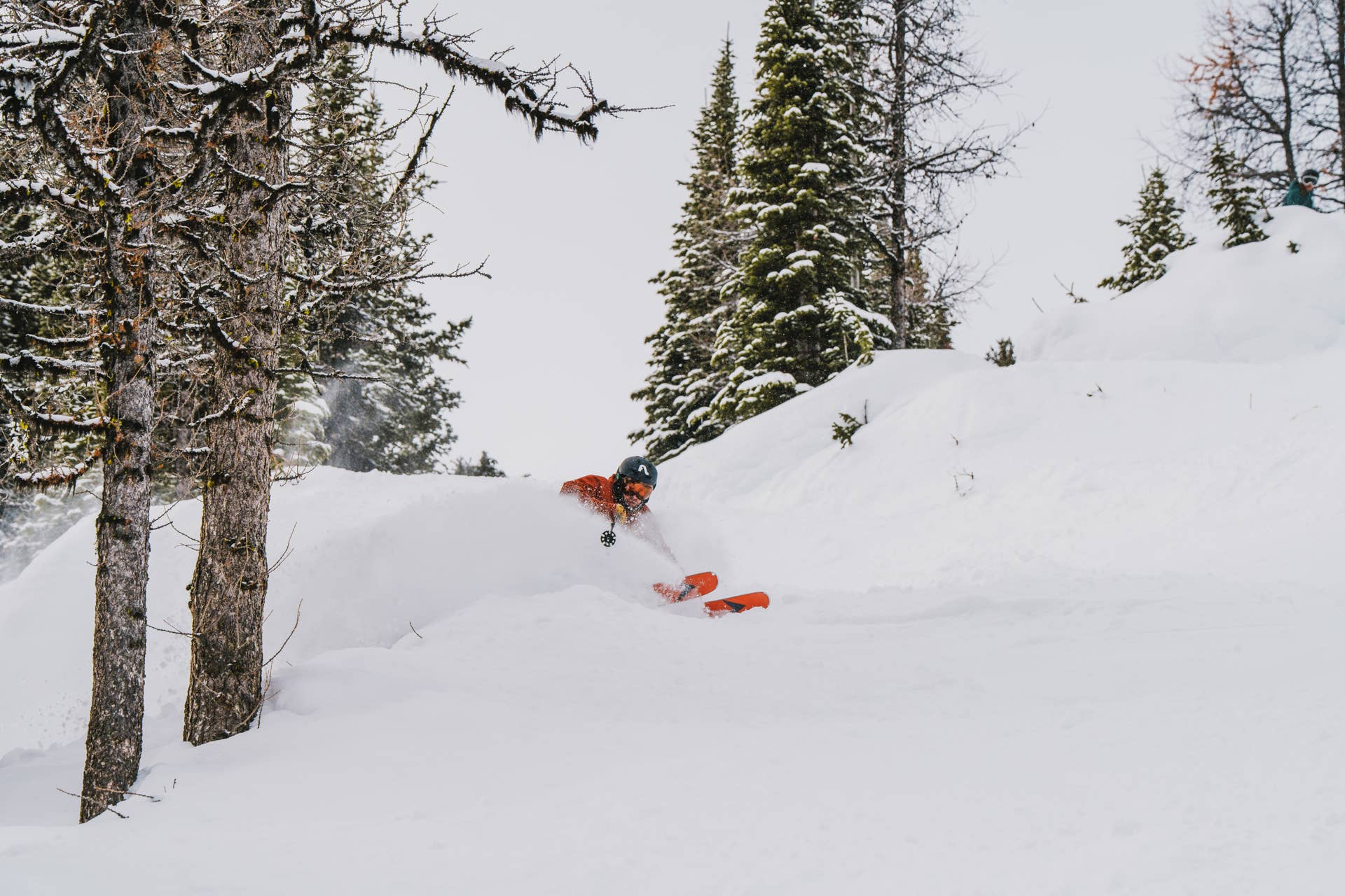 Dynastar M-Pro 100 Ski Review (2026) - Powder