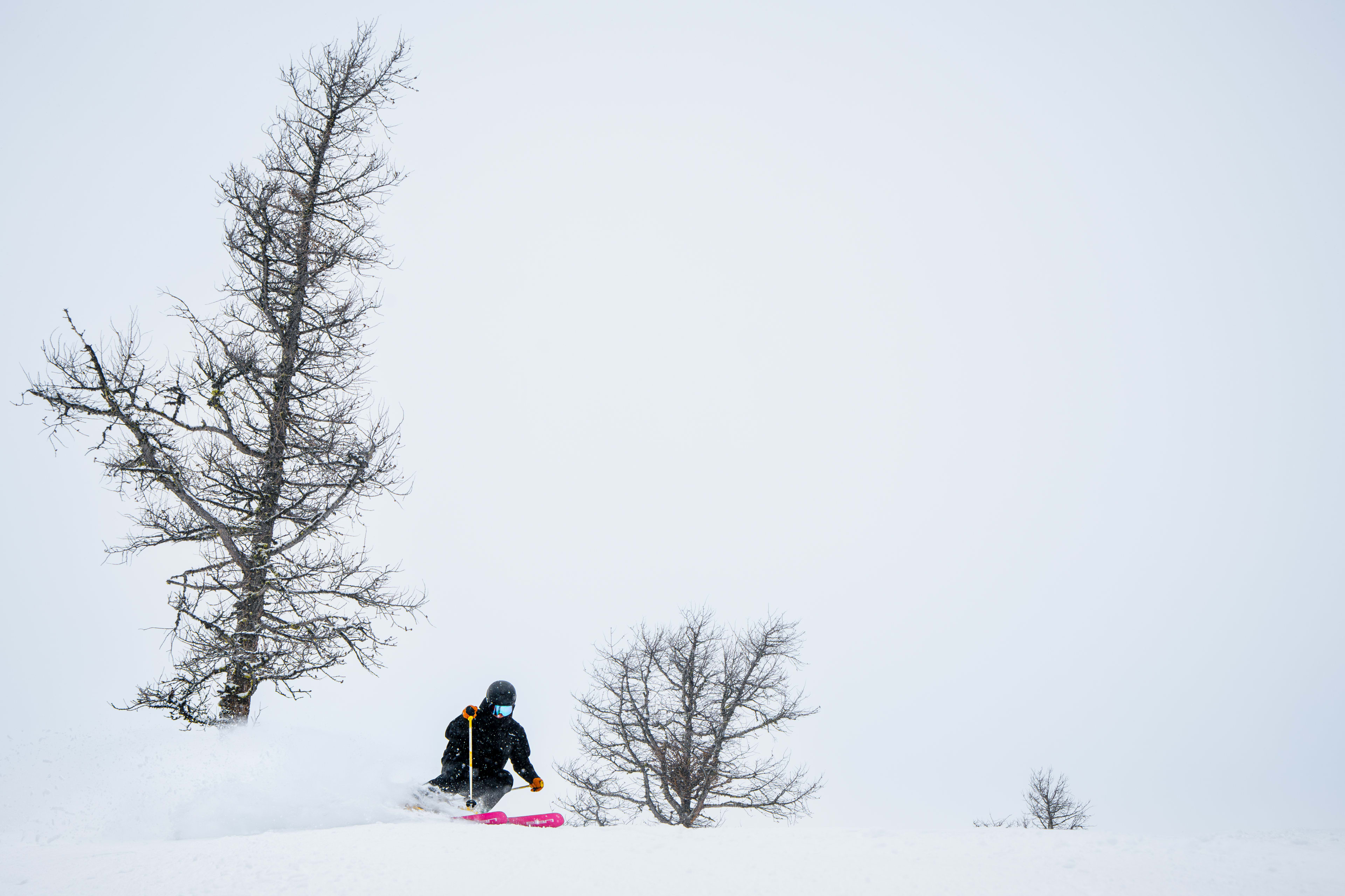 Review: 2026 Elan Playmaker 111 Powder Skis - Powder