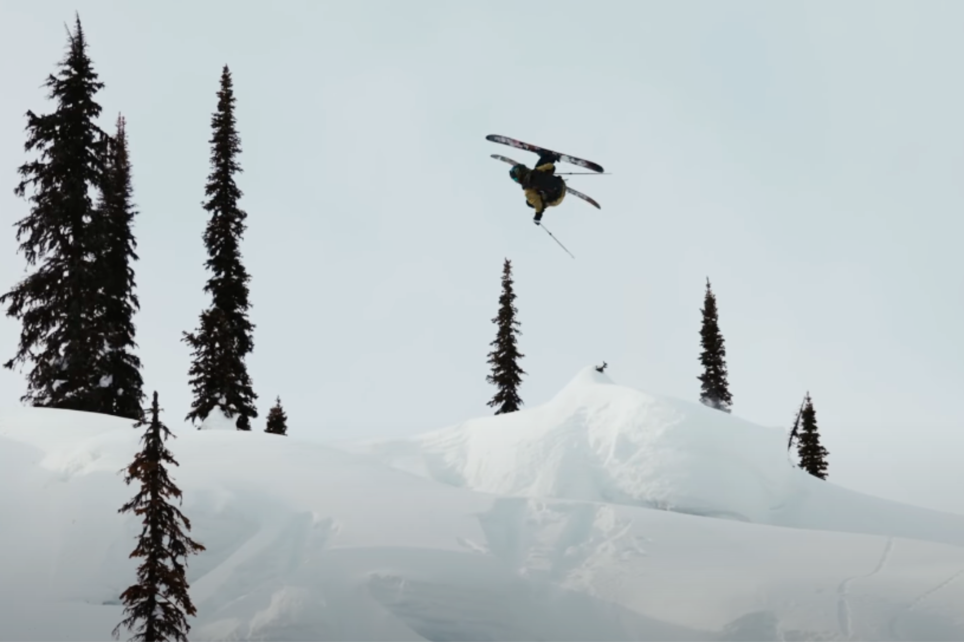 Sammy Carlson Releases Editor's Cut of KAMASE - Powder