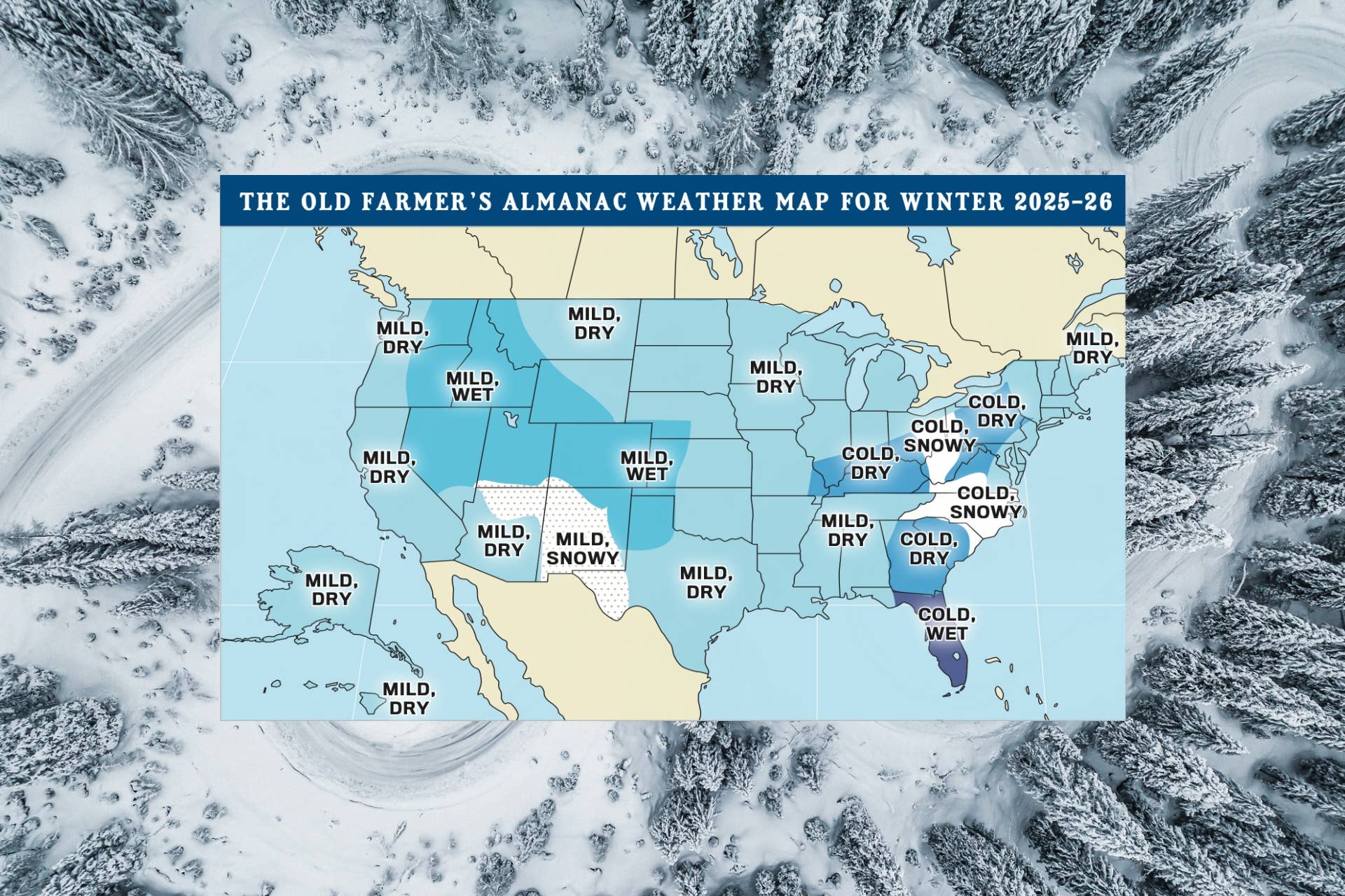 Old Farmer's Almanac Winter 25/26 Forecast Map and Weather - Powder