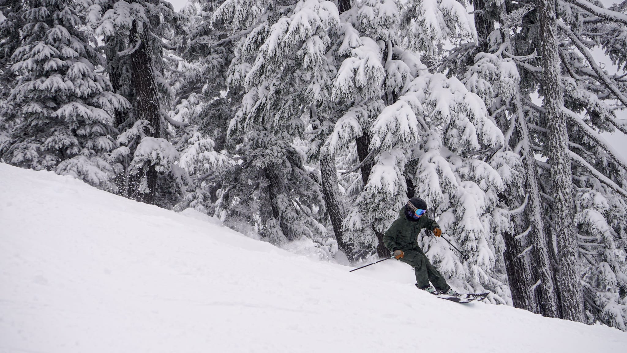 Stellar Equipment Free Shell 2.5 Outerwear Review - Powder