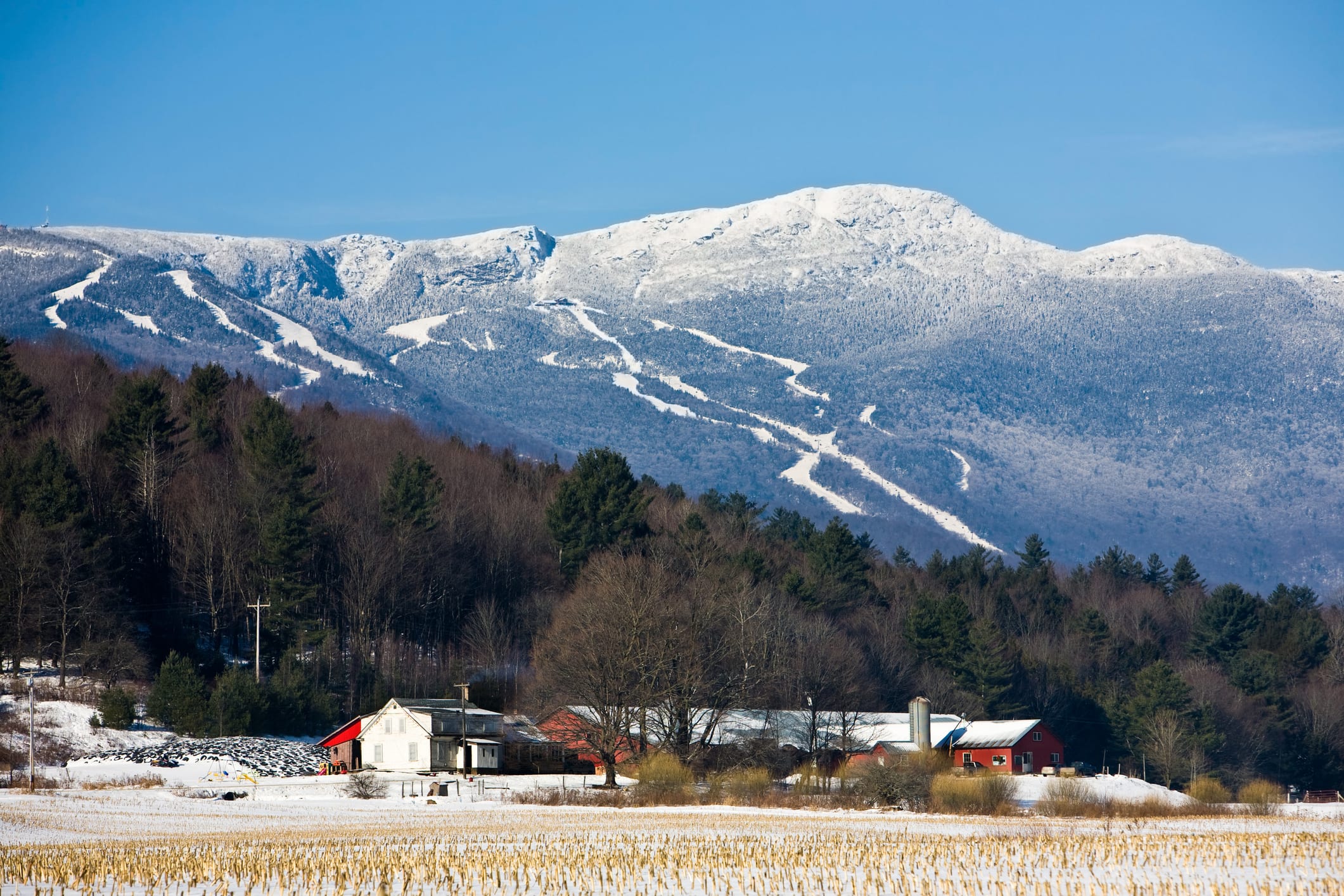 TikTok Blamed as Skiers Get Lost Near Stowe Resort - Powder