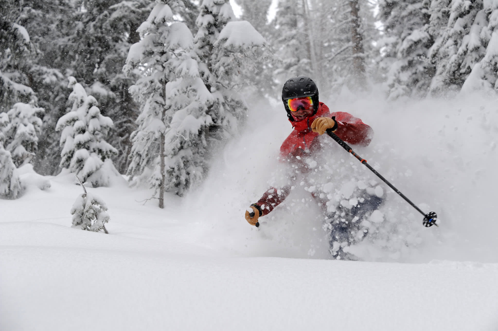 The 8 Best Resorts for Tree Skiing in North America - Powder