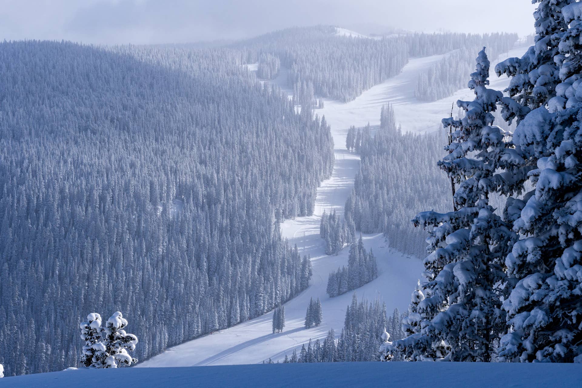 Vail Ski Resort Lift Upgrades Approved by Forest Service - Powder