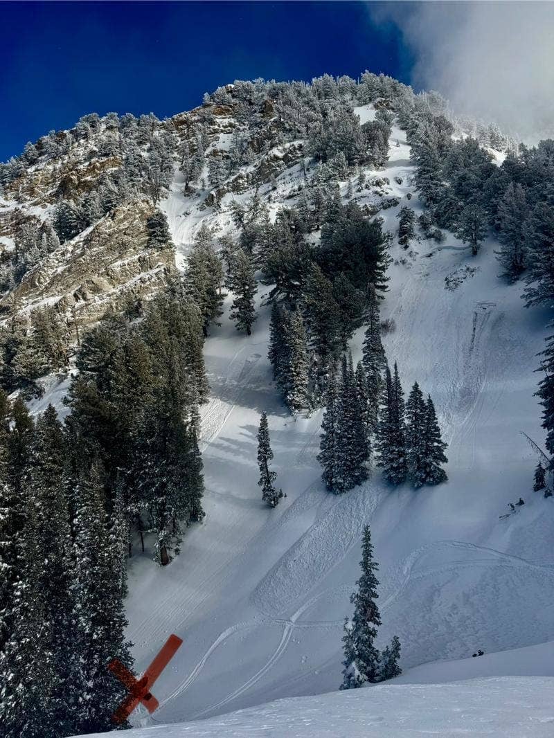 22 People Died In Avalanches This Year—Here's What Happened - Powder