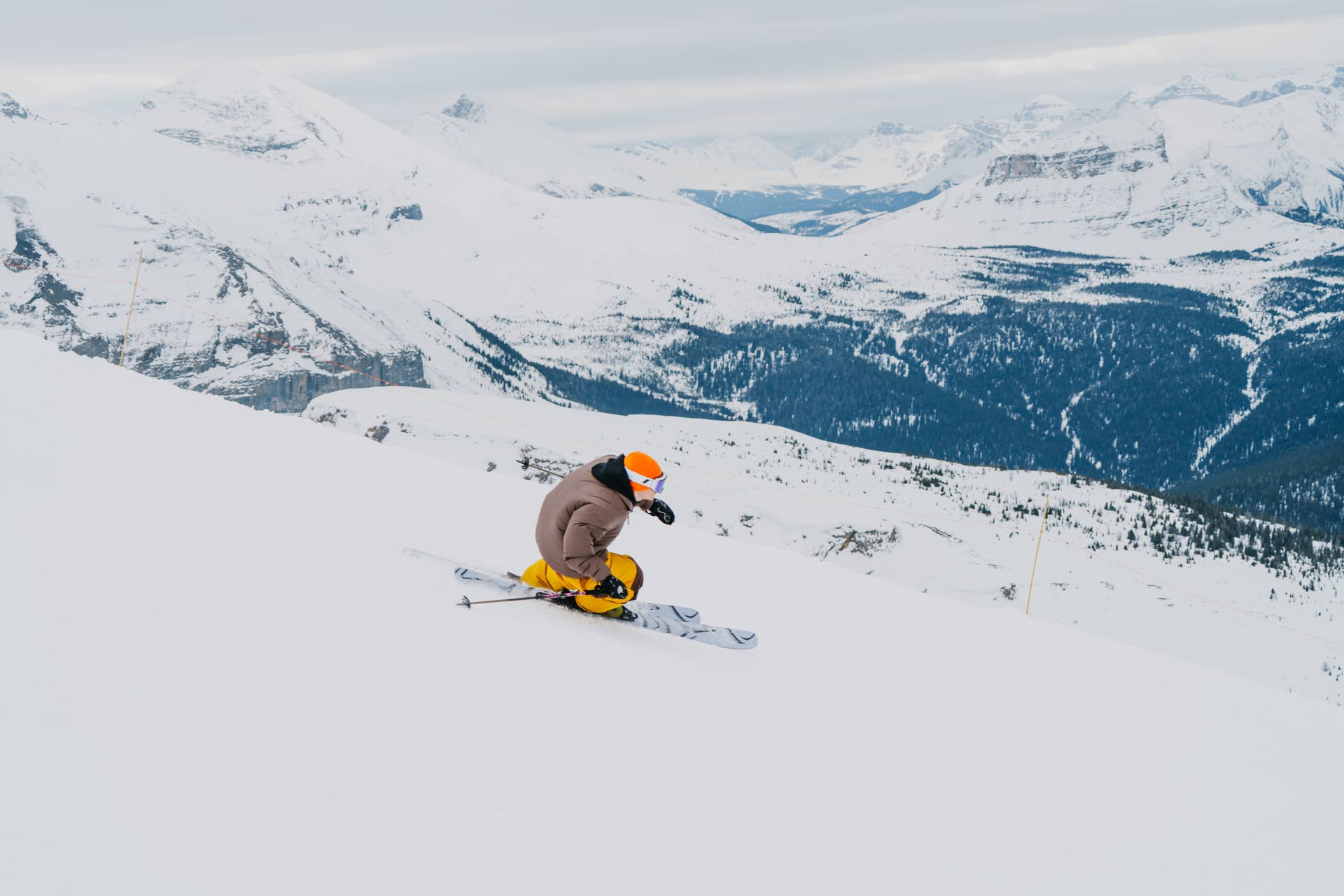 The 11 Different Types of Skis: A Complete Guide - Powder