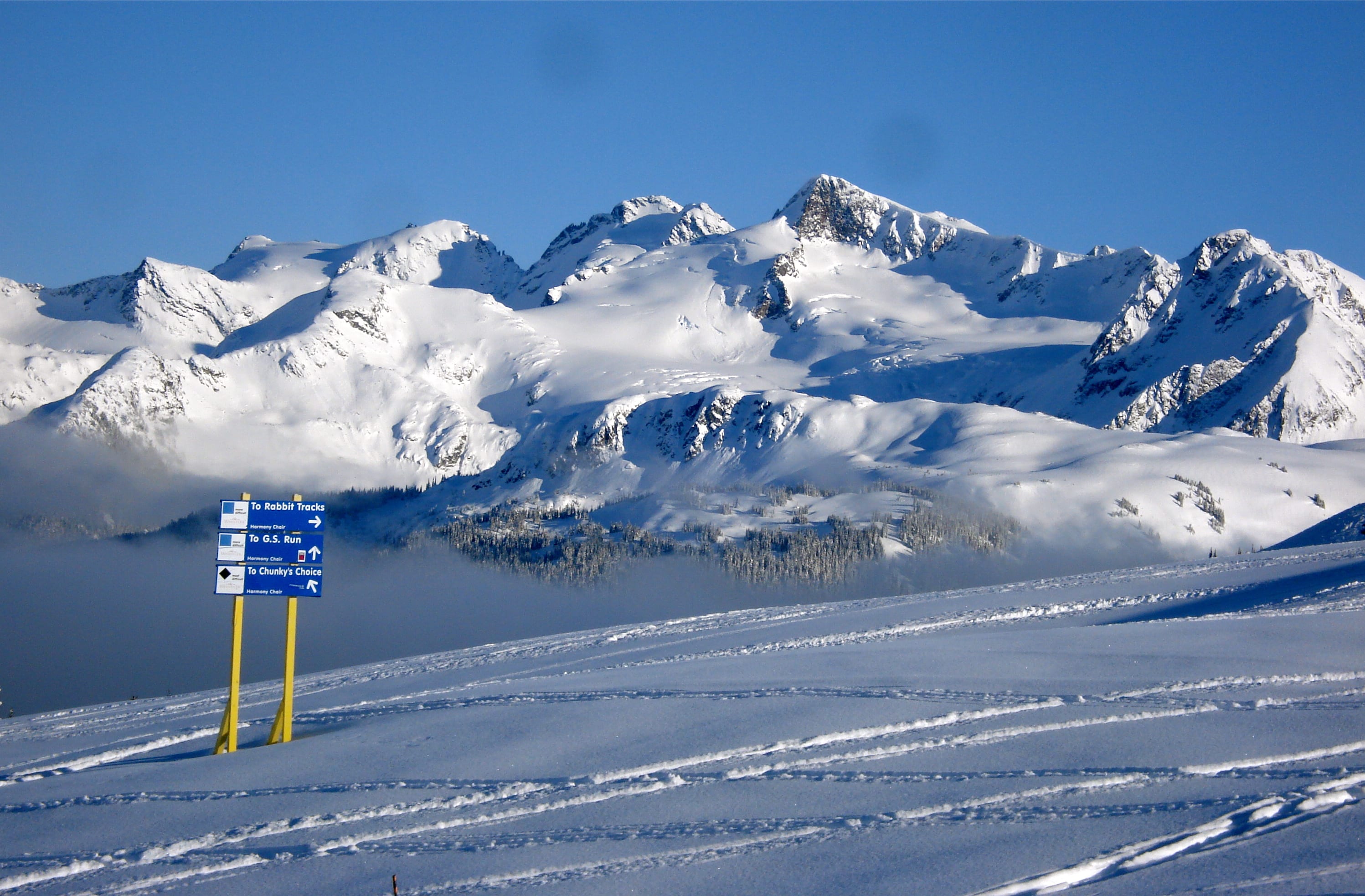 Ski Slope Ratings Explained: From Green to Black Diamond Runs - Powder