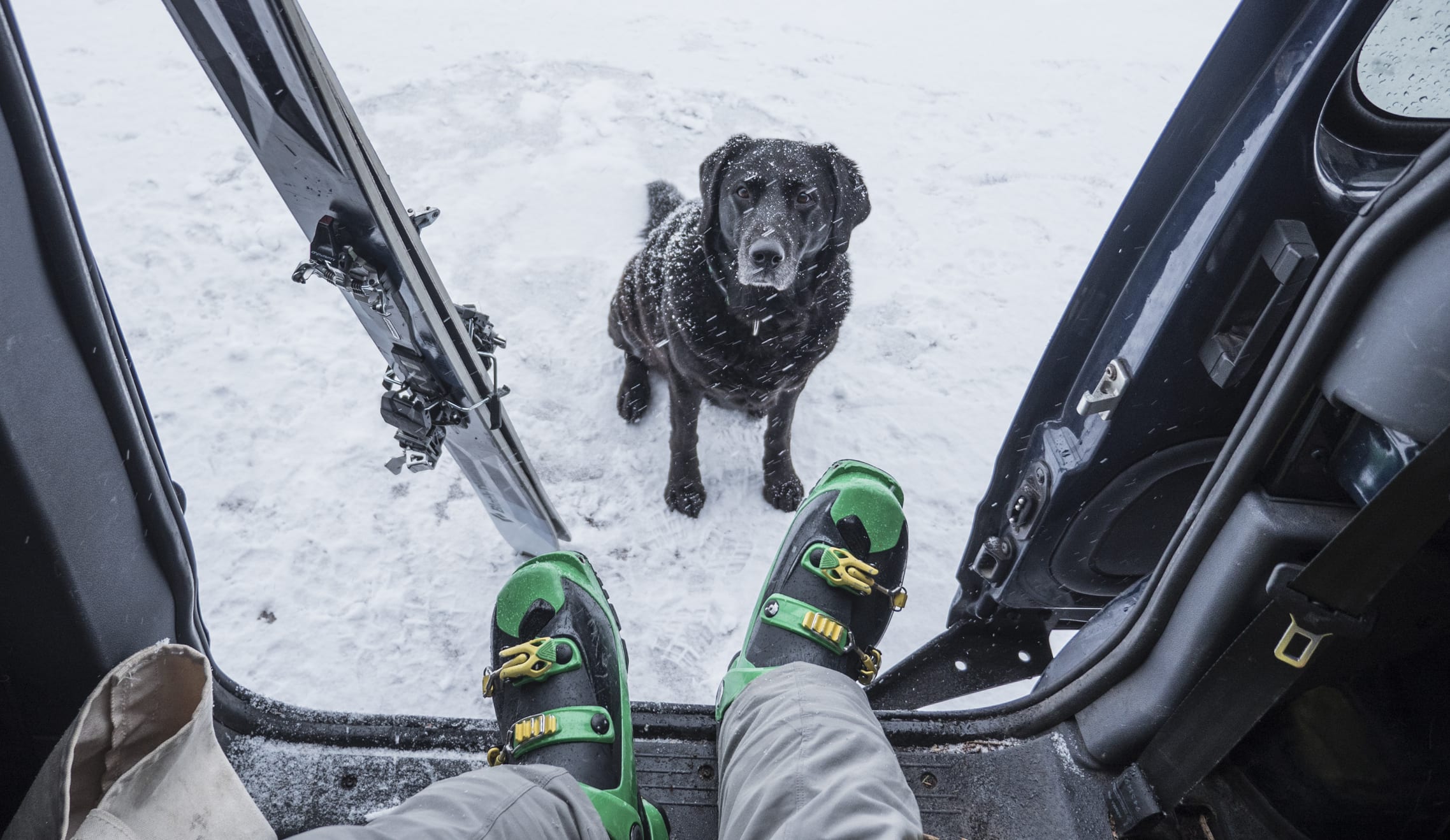 The 7 Best Dog-Friendly Ski Resorts in North America - Powder