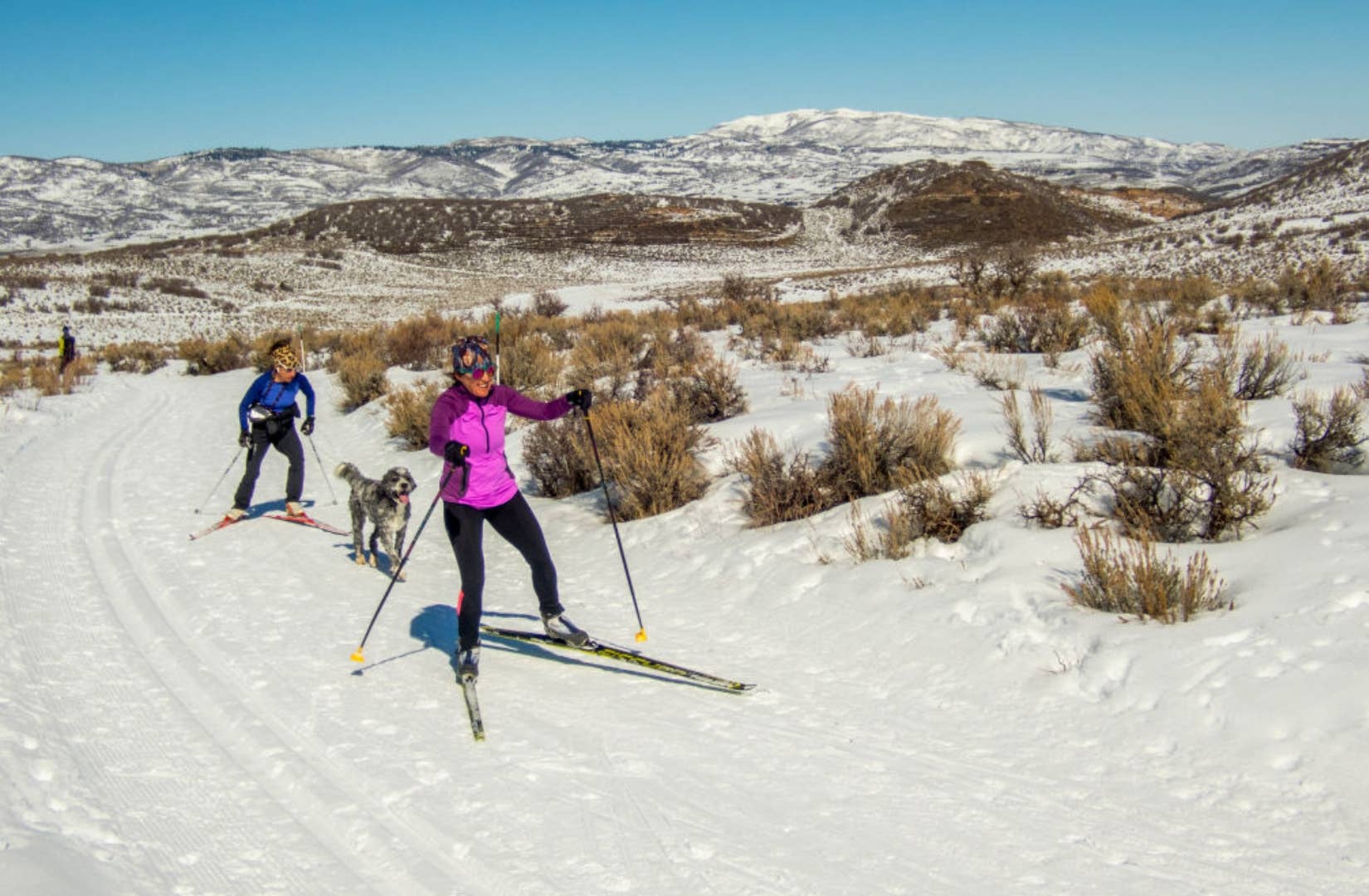 The 7 Best Dog-Friendly Ski Resorts in North America - Powder