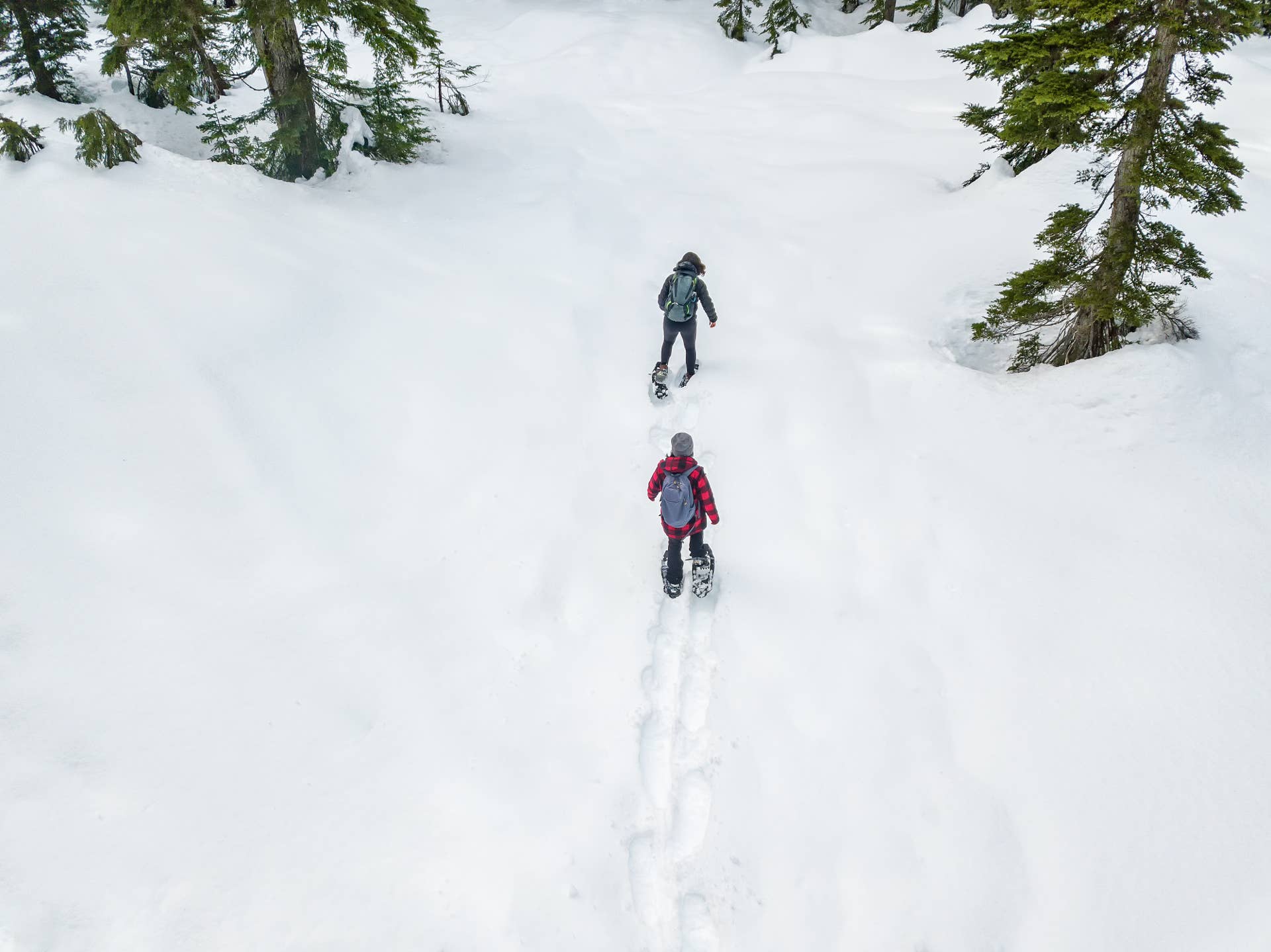 The Six Best Ski Resorts for Snowshoeing in North America - Powder