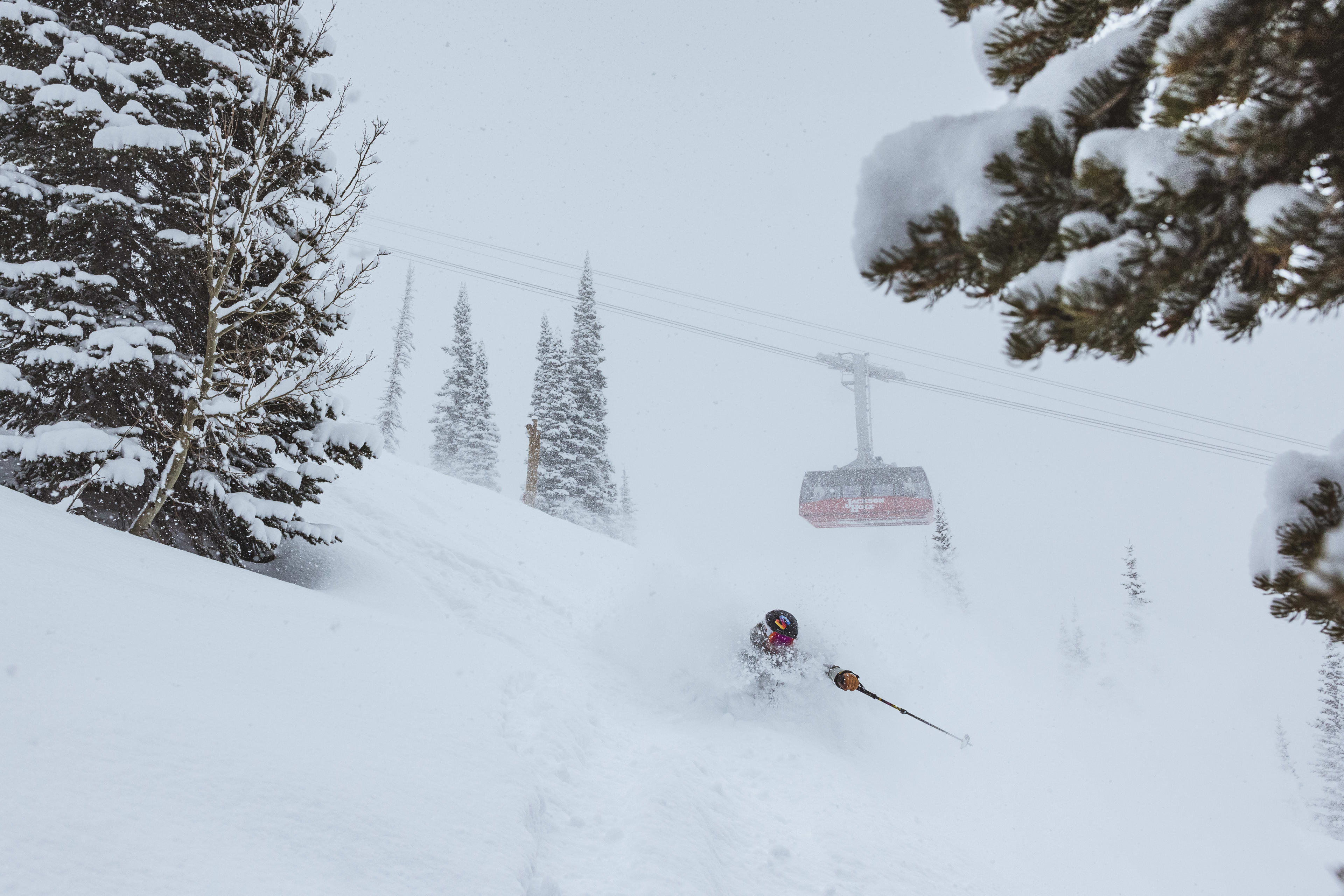 Jackson Hole: Where To Ski and What To Do - Powder