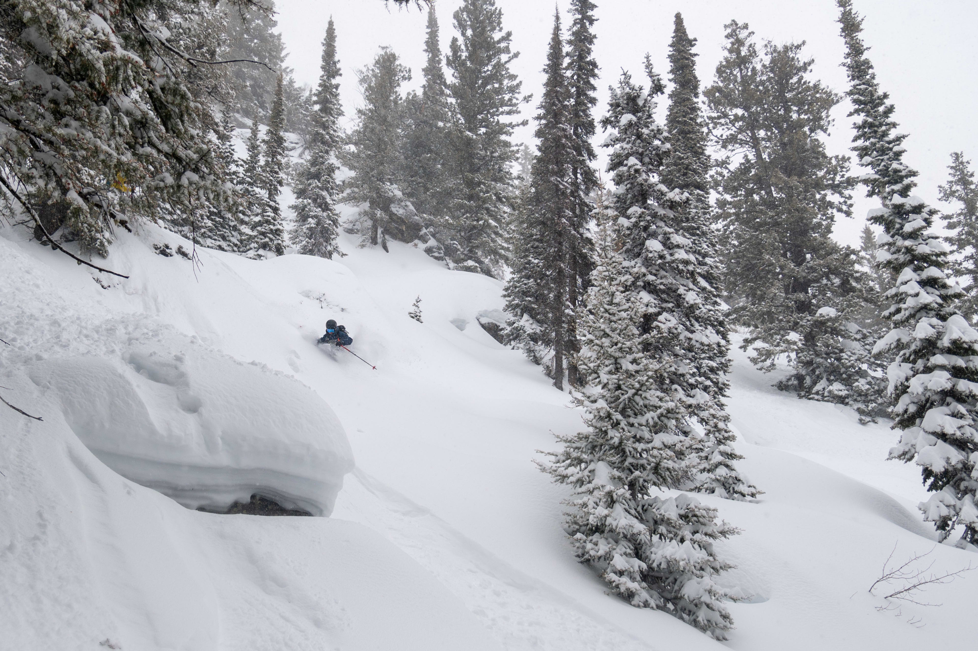 Review: 2026 Atomic Maverick 115 CTi Skis - Powder