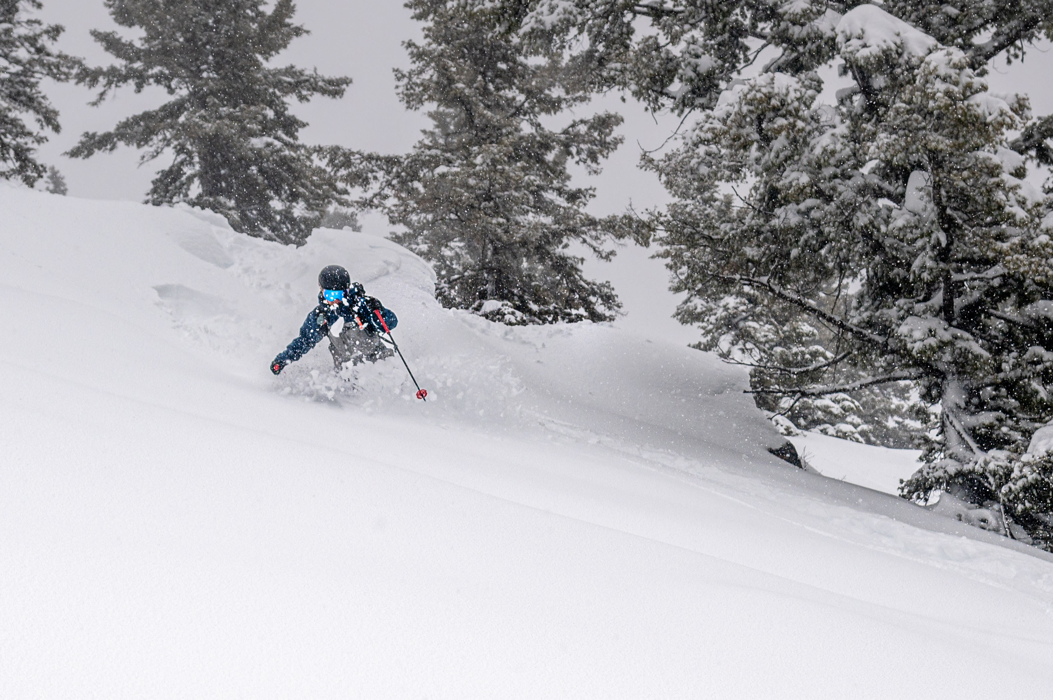 Review: 2026 Atomic Maverick 115 CTi Skis - Powder