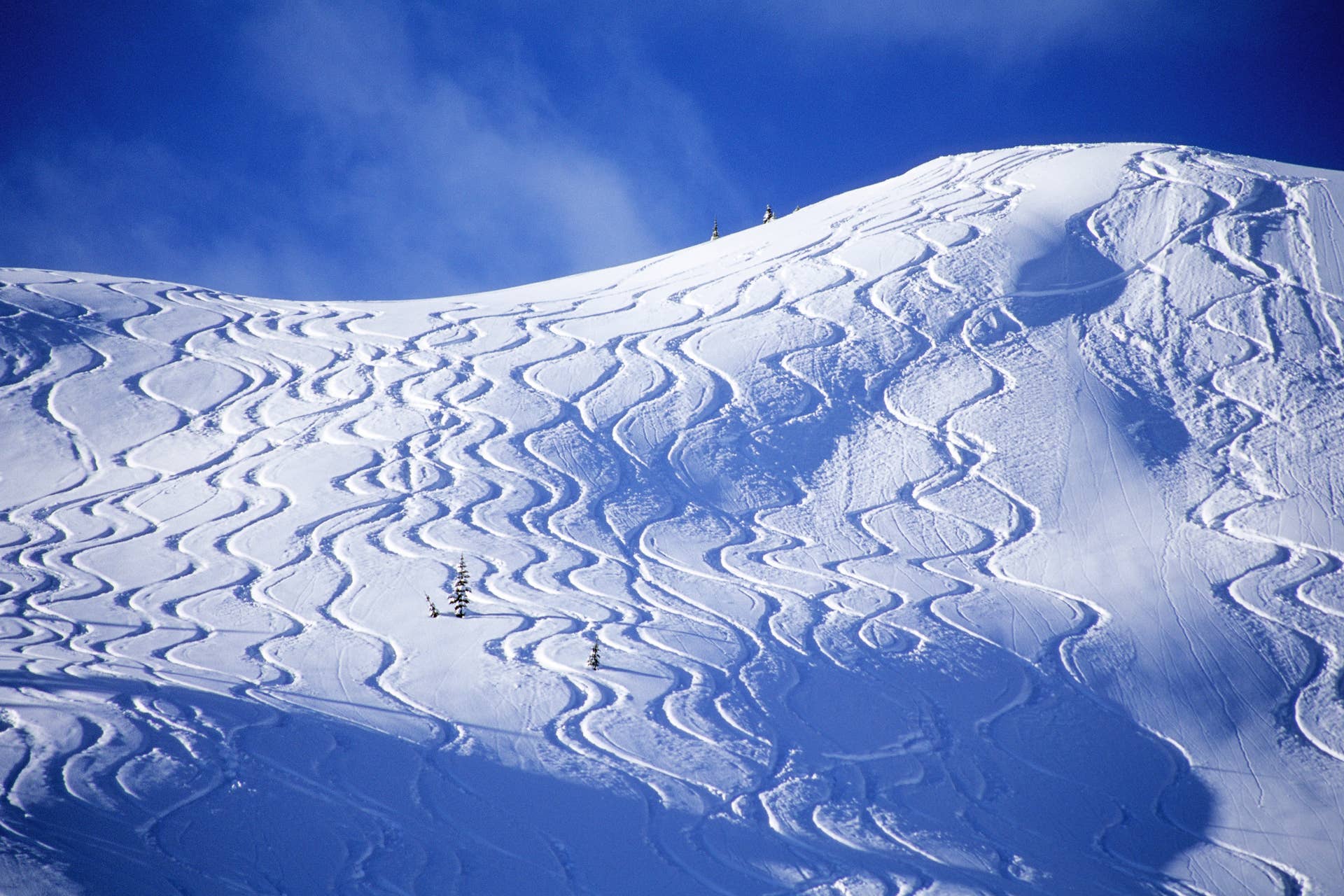 What Is Off-Piste Skiing? Everything You Need To Know - Powder