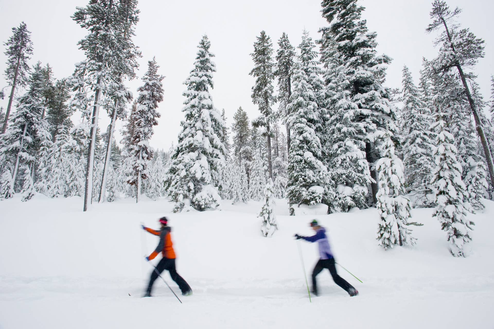 The 6 Best Ski Resorts for Nordic Skiing in the U.S. - Powder