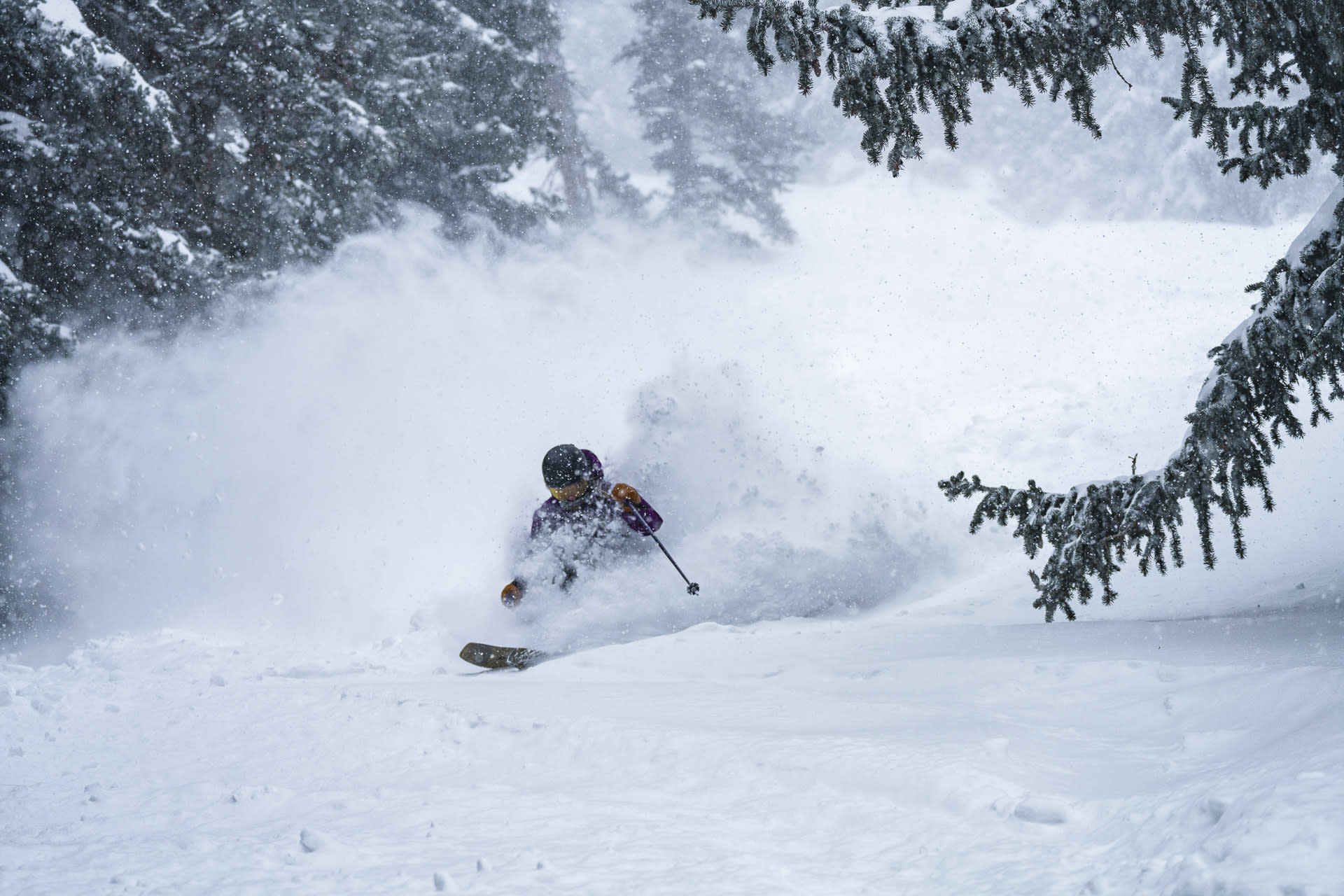 30 Inches In 24 Hours: Alta, Utah's Powder Day for the Ages - Powder