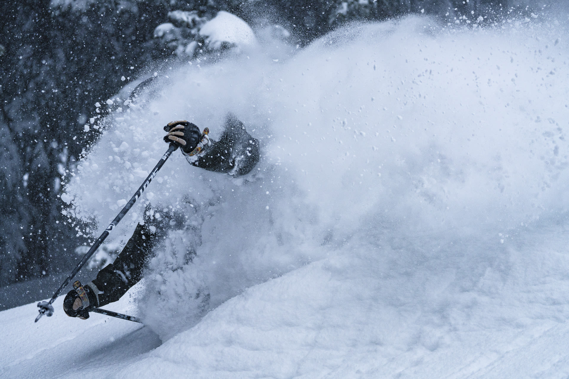 30 Inches In 24 Hours: Alta, Utah's Powder Day for the Ages - Powder