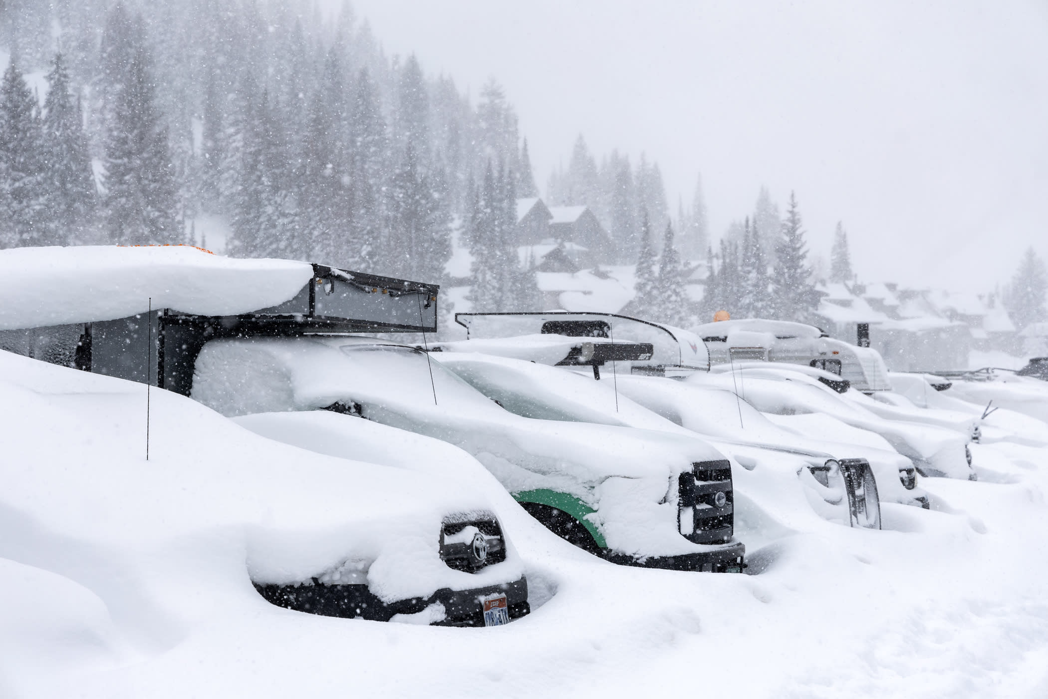 What You Need To Know Before Visiting Alta Ski Area - Powder